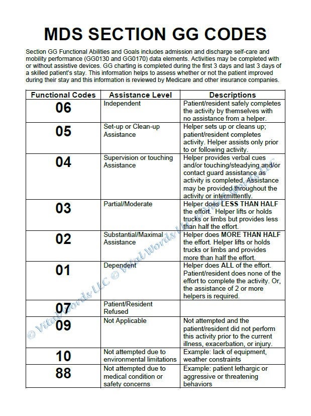 Reference Sheet for Cnas for MDS GG Charting Codes - Etsy