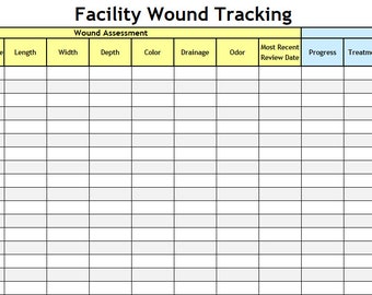 Pressure Injury and Wound Tracking Spreadsheet (version 2) - Etsy