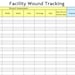 Pressure Injury and Wound Tracking Spreadsheet - Etsy