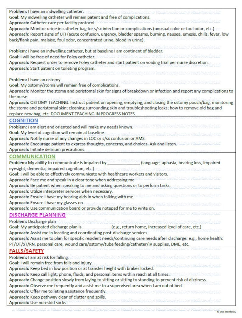 Nursing Basic Care Plan Template for LTC/ICF/SNF - Etsy