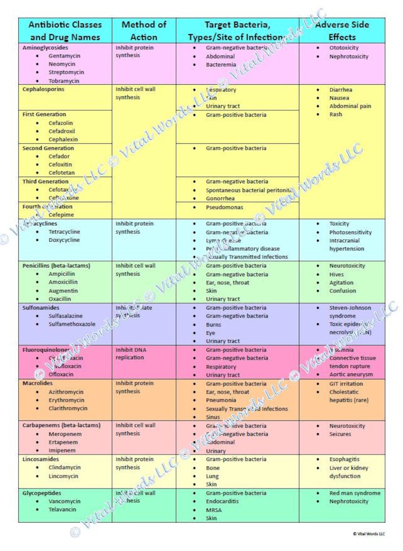 Antibiotic Treatment Guideline Chart - Etsy