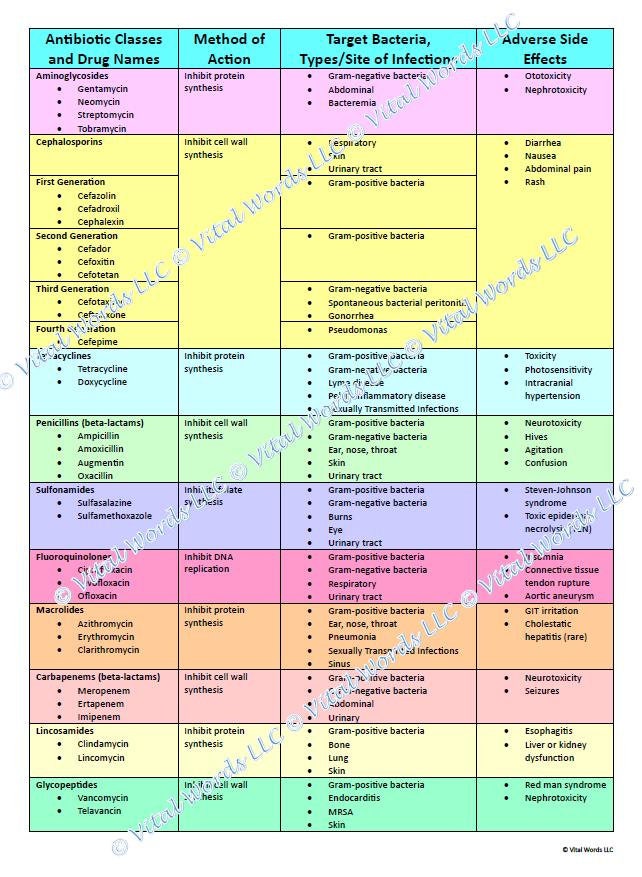 Antibiotic Treatment Guideline Chart - Etsy