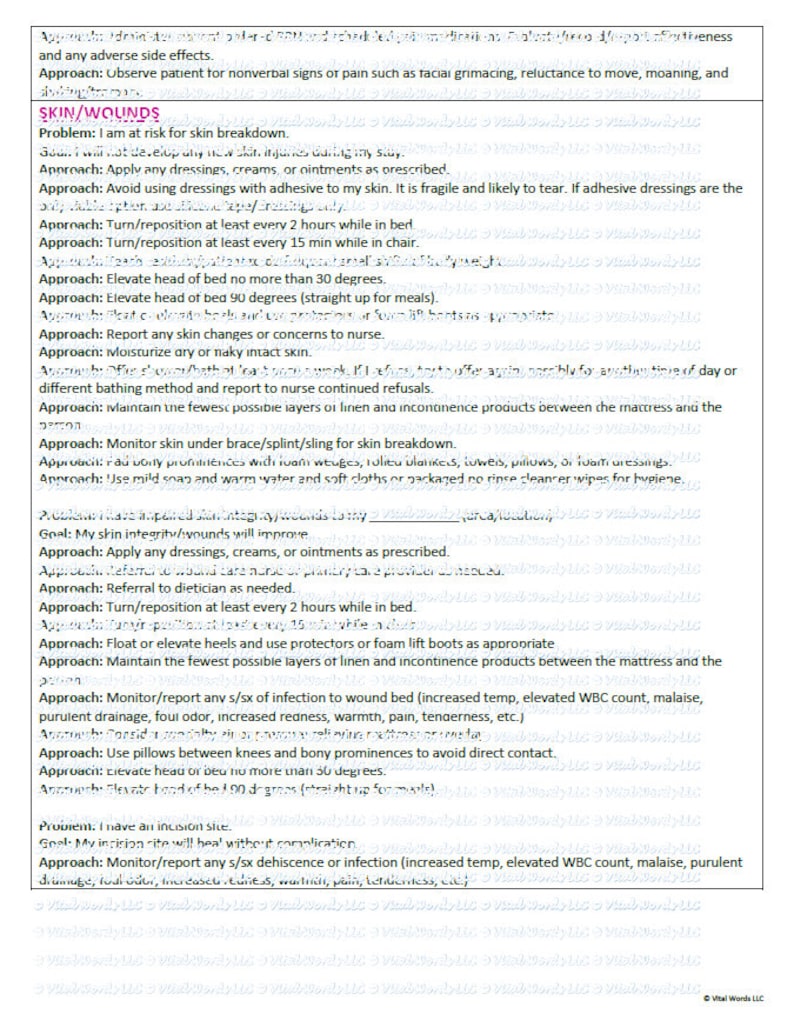 Nursing Basic Care Plan Template for LTC/ICF/SNF - Etsy