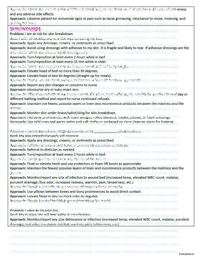 Nursing Basic Care Plan Template for LTC/ICF/SNF - Etsy