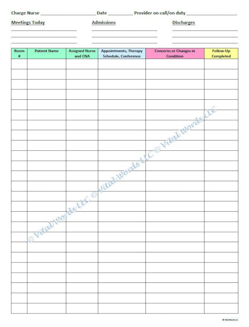Charge Nurse Manager Day Planner (version 1) - Etsy
