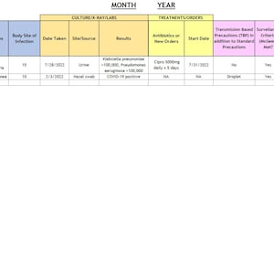 BUNDLE: Infection Preventionist Spreadsheets - Etsy