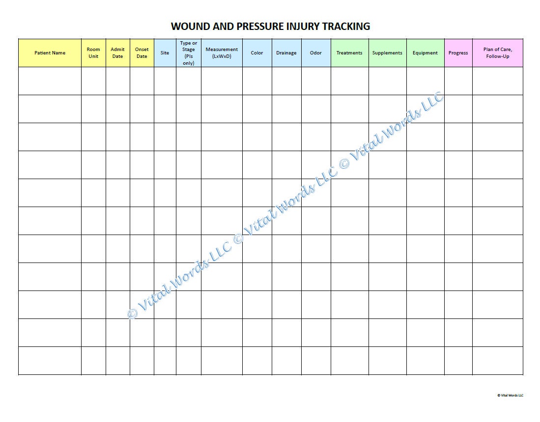 Pressure Injury and Wound Tracking Spreadsheet (version 2) - Etsy