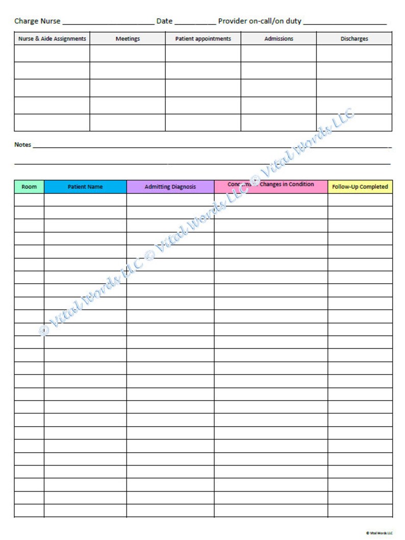 BUNDLE: CAREPLAN, Charge Nurse Manager Daily, Assessment, and Discharge ...