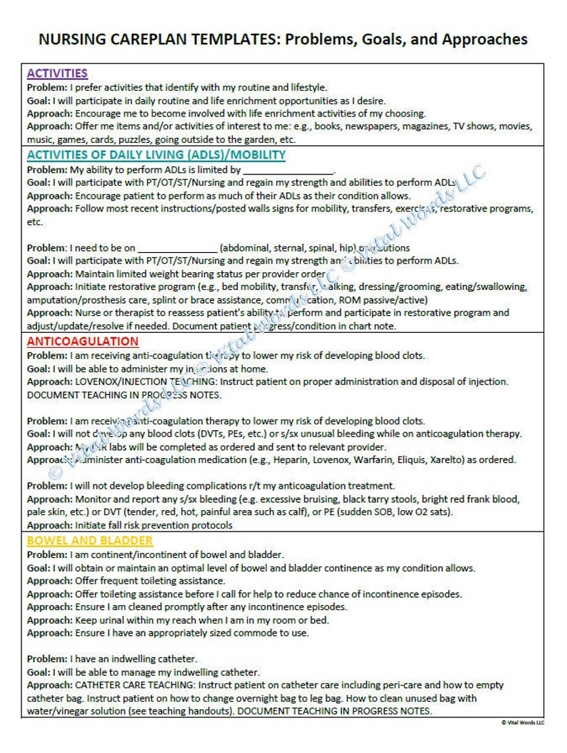 Nursing Basic Care Plan Template for LTC/ICF/SNF - Etsy
