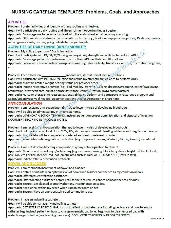 Nursing Basic Care Plan Template for LTC/ICF/SNF - Etsy