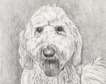 Custom Graphite Portrait of a Pet - Etsy