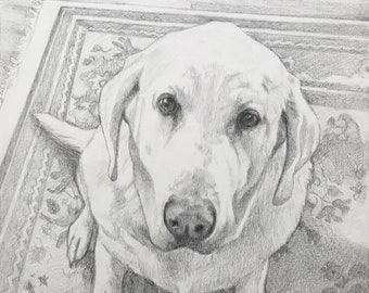 Custom Graphite Portrait of a Pet - Etsy