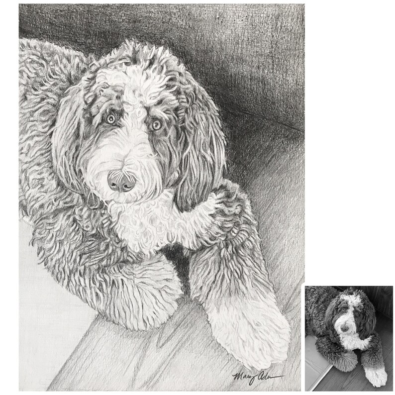 Custom Graphite Portrait of a Pet - Etsy