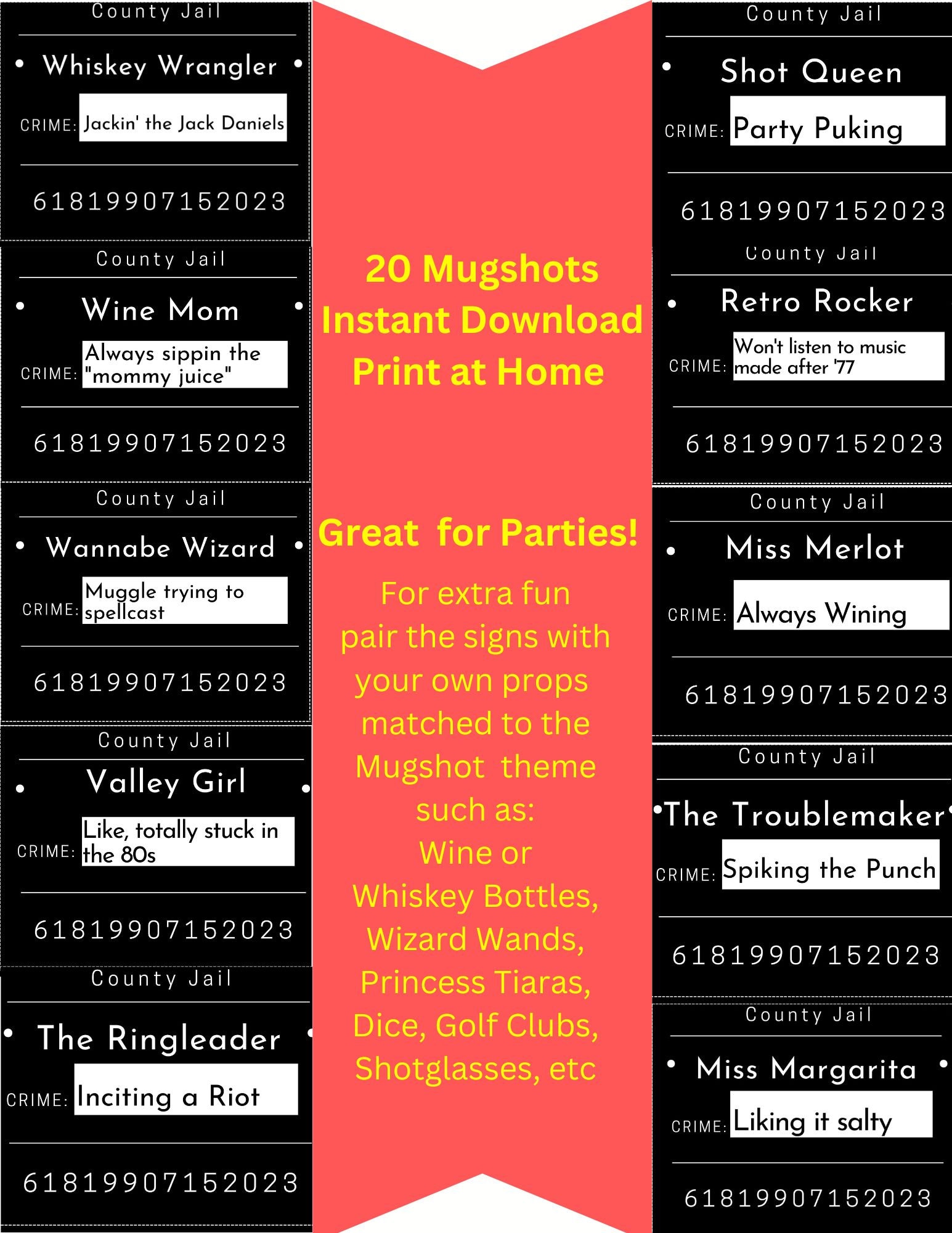 Mugshot Jail Signs, Party Props for Birthday, Retirement, Bachlorette Parties, Photo Booth ...