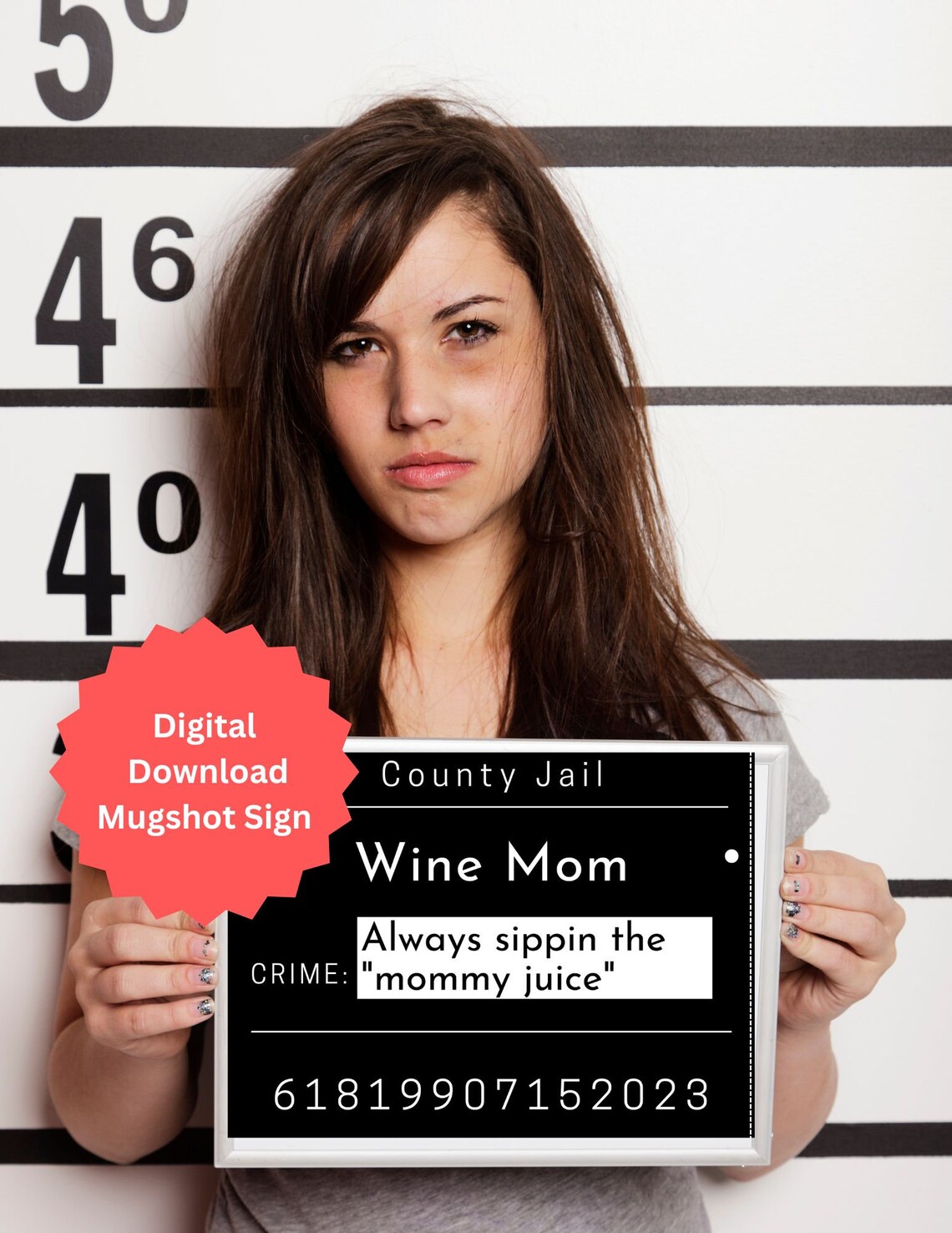 Mugshot Jail Signs, Party Props for Birthday, Retirement, Bachlorette Parties, Photo Booth ...