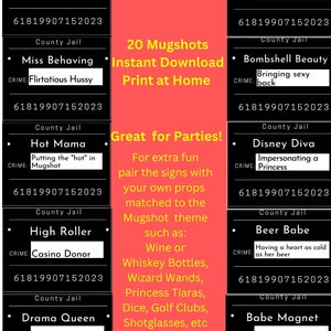 Mugshot Jail Signs, Party Props for Birthday, Retirement, Bachlorette ...