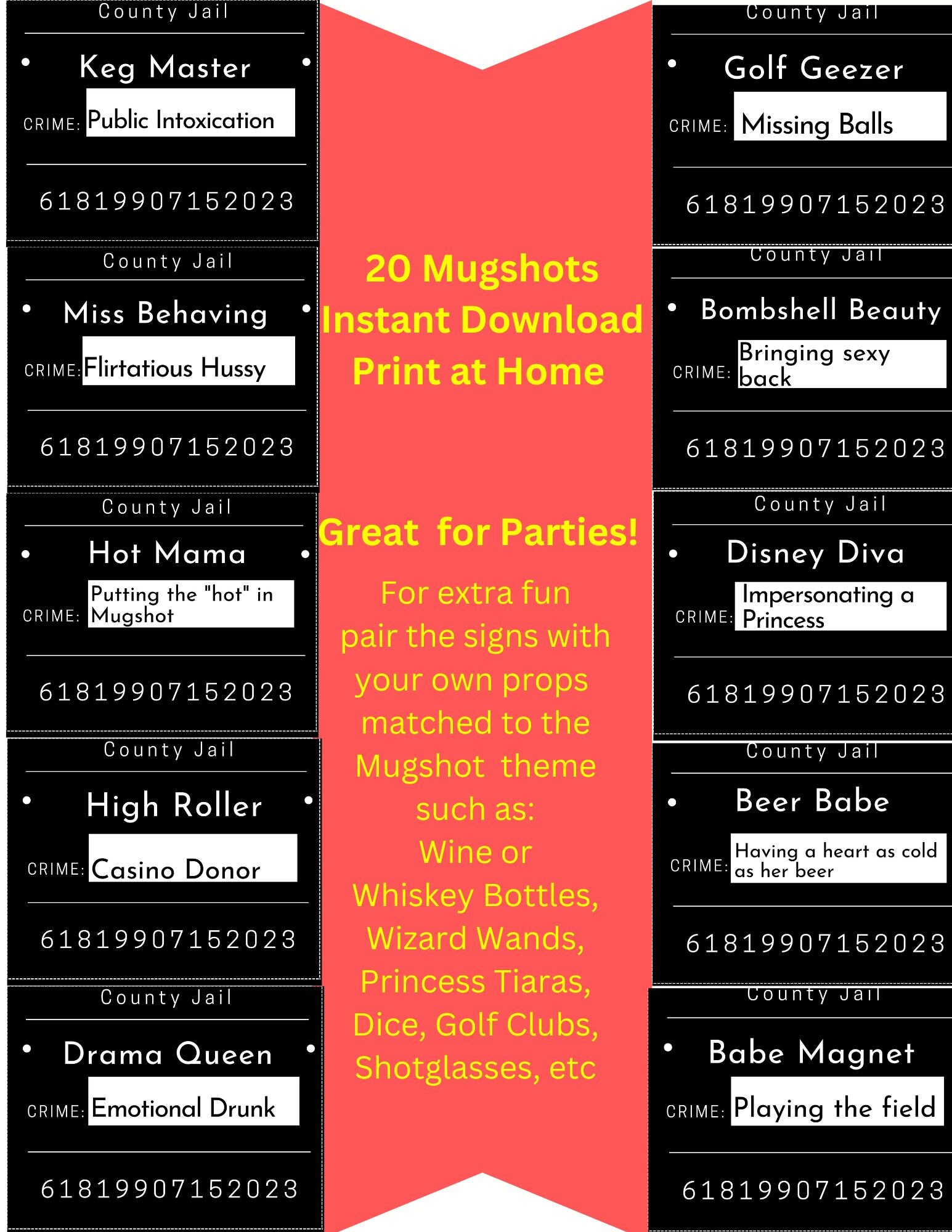 Mugshot Jail Signs, Party Props for Birthday, Retirement, Bachlorette ...