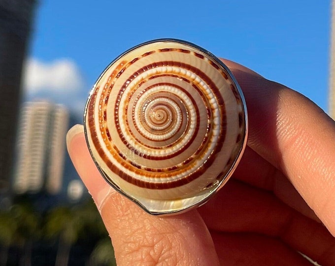 Seashell Ring, Sundial Seashell Ring, Natural Sea Shell Ring, Stainless ...