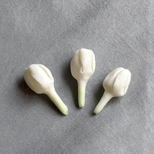 Pikake Flowers, White Flowers, Unbloomed Pikake Bulbs Handcrafted ...