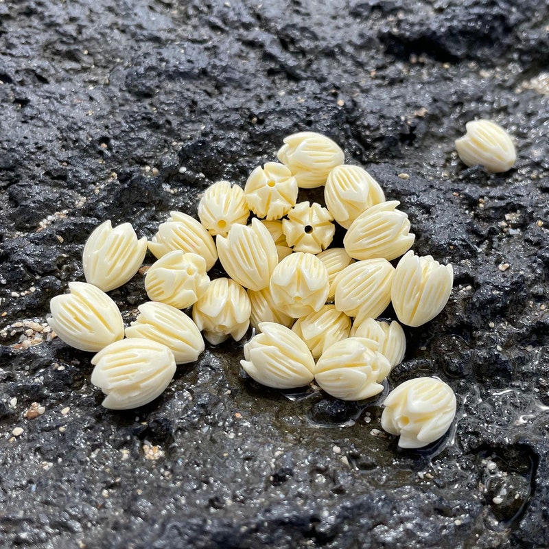 Tulips Coral Beads - Etsy