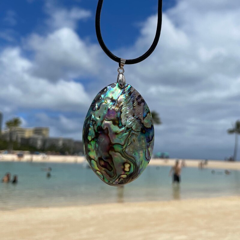 Abalone Shell Charm - Etsy
