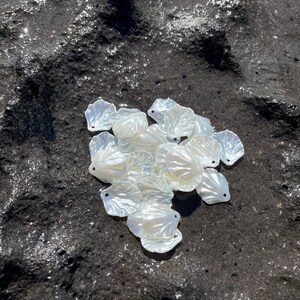 Loose Capiz Seashells - Mock Mother of Pearl Sea Shells With Drill ...