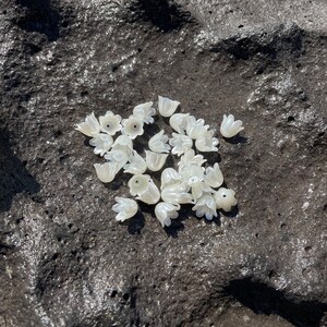 White Pakalana Beads- Mock Mother of Pearl Hawaiian Flowers DIY Jewelry ...