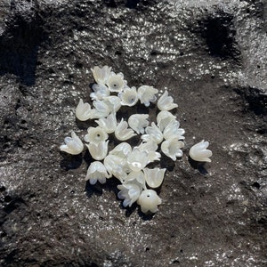 White Pakalana Beads- Mock Mother of Pearl Hawaiian Flowers DIY Jewelry ...