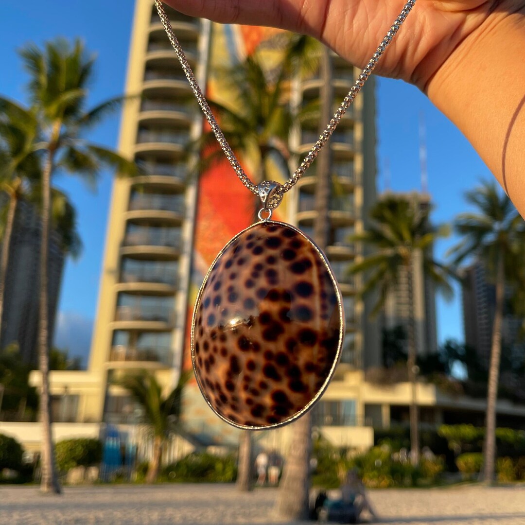 Tiger Cowrie Shell Necklace With Chain, Polished Natural Sea Leopard ...