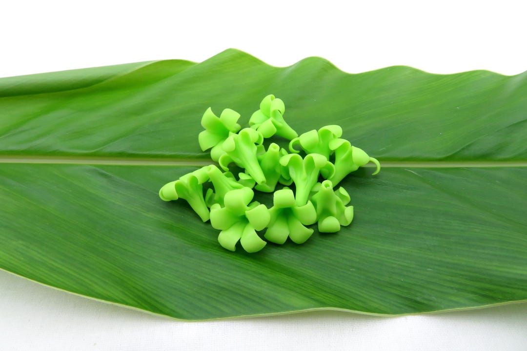 Neon Green Puakenikeni Clay Flowers, Neon Green Flowers, Pack of 100 ...