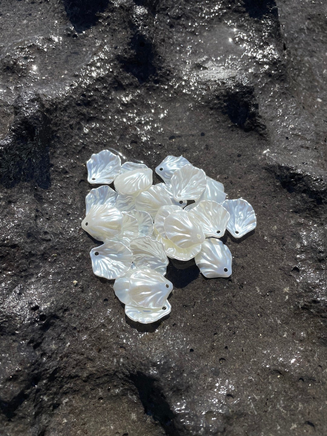 Loose Capiz Seashells - Mock Mother of Pearl Sea Shells With Drill ...