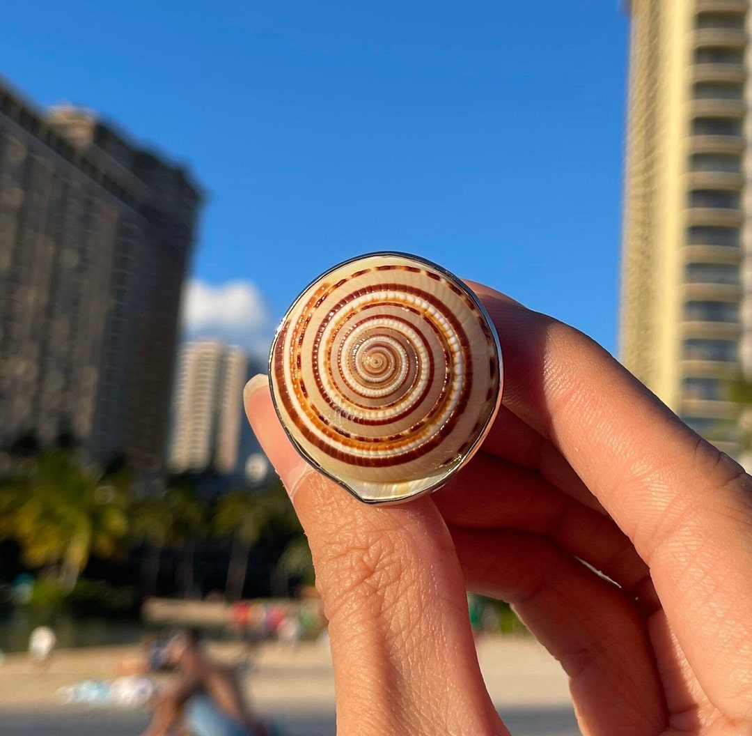 Seashell Ring, Sundial Seashell Ring, Natural Sea Shell Ring, Stainless ...