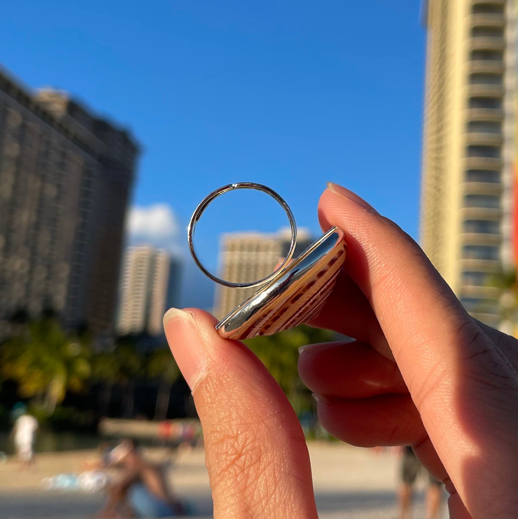 Seashell Ring, Sundial Seashell Ring, Natural Sea Shell Ring, Stainless ...