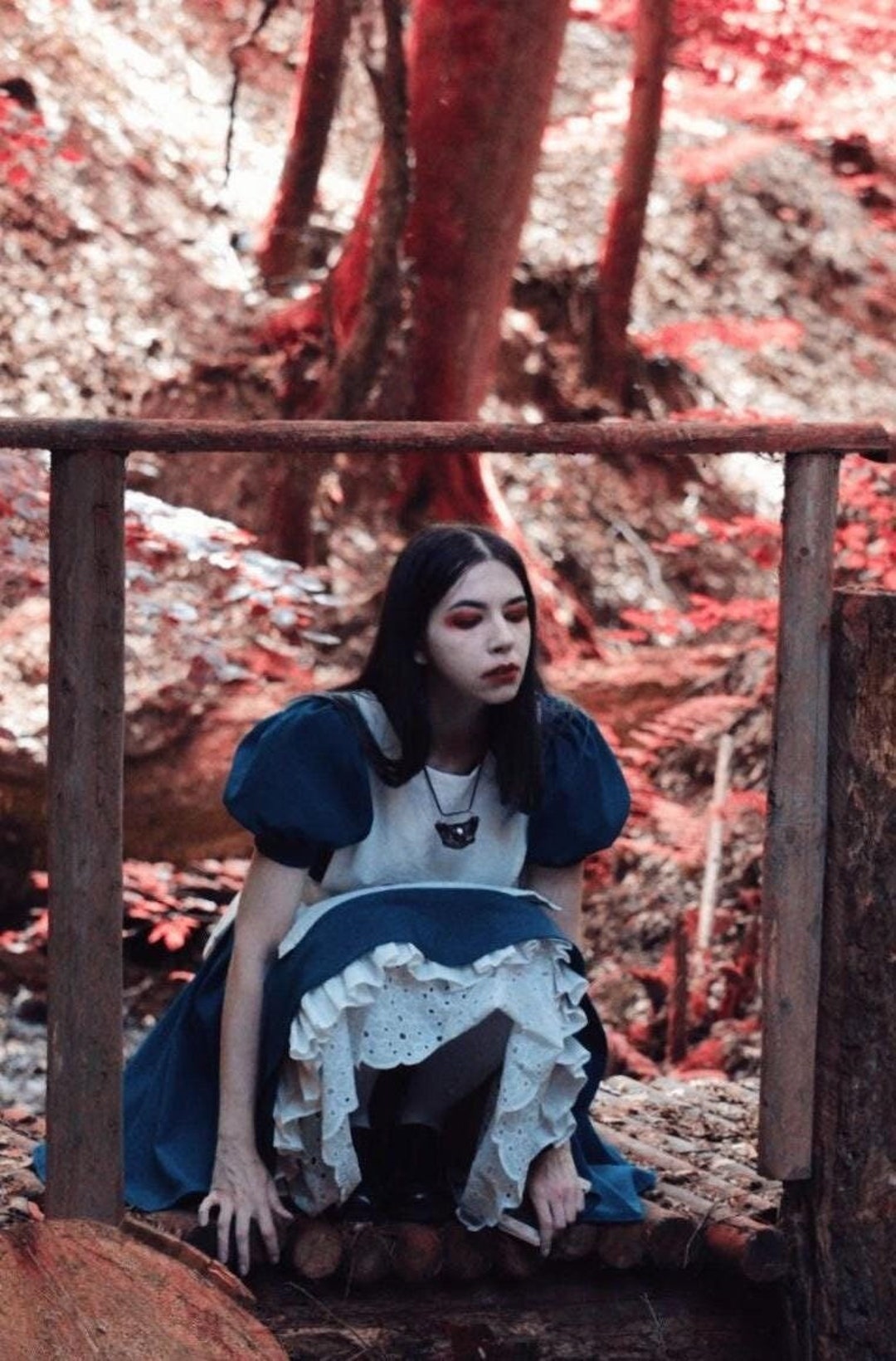 Made to Order Alice Cosplay Dress - Etsy