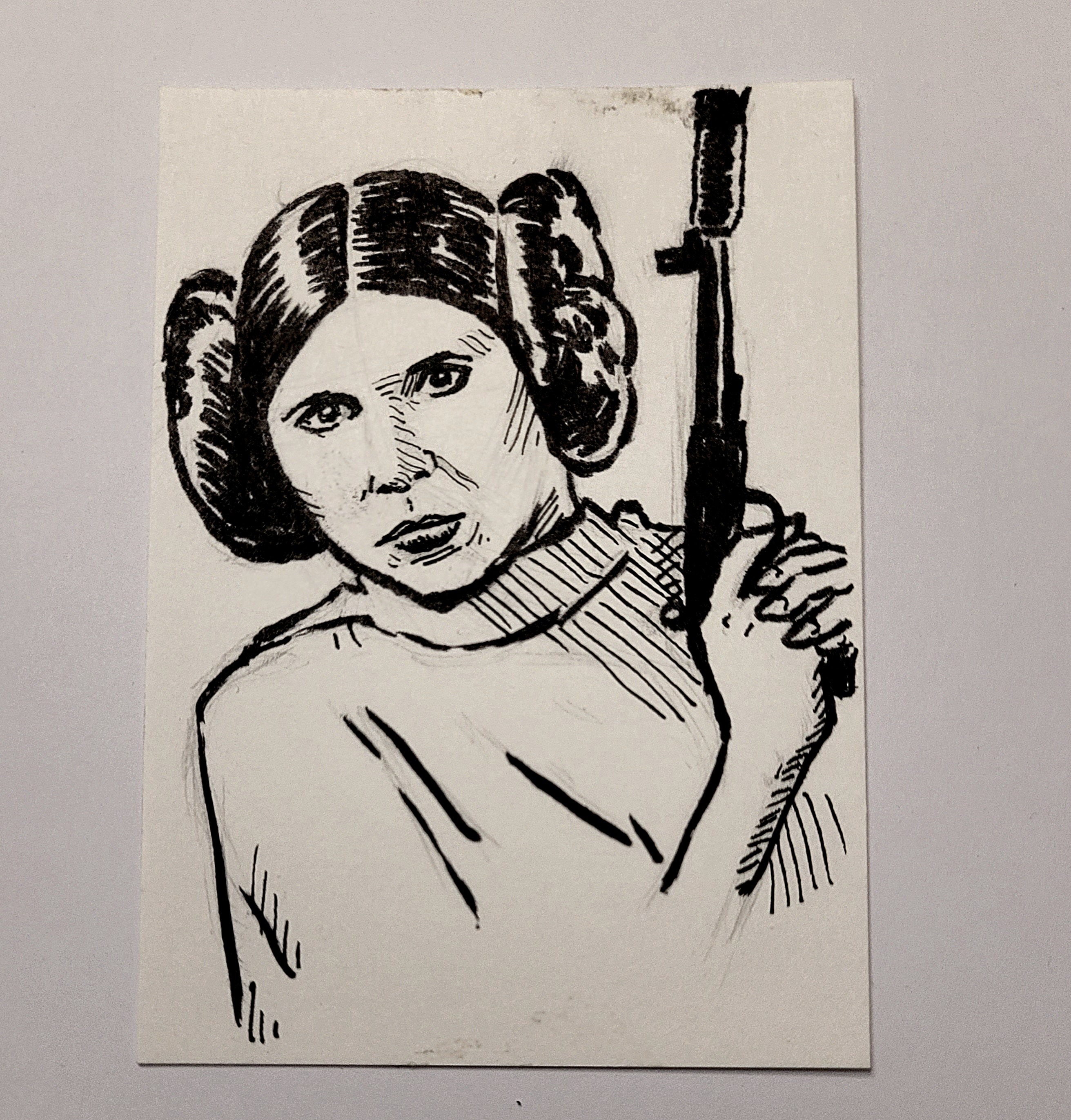 Prinzessin Leia Versteckt Sich Vor Den Imperialen Truppen