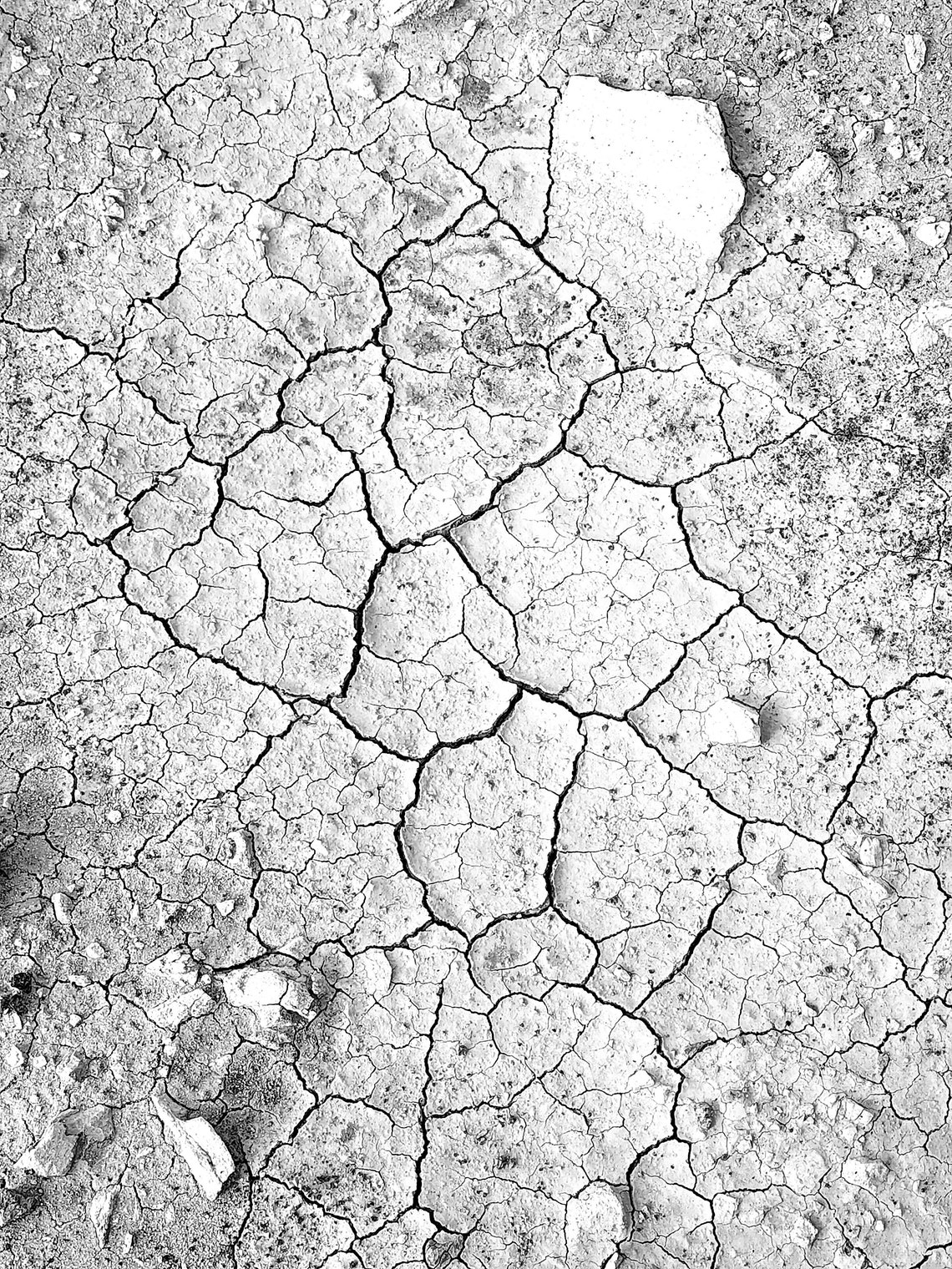 Dry Dirt Texture Pages - Etsy