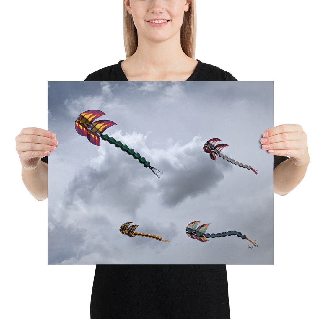 4 Flying Dragonfly Kites Poster - Etsy