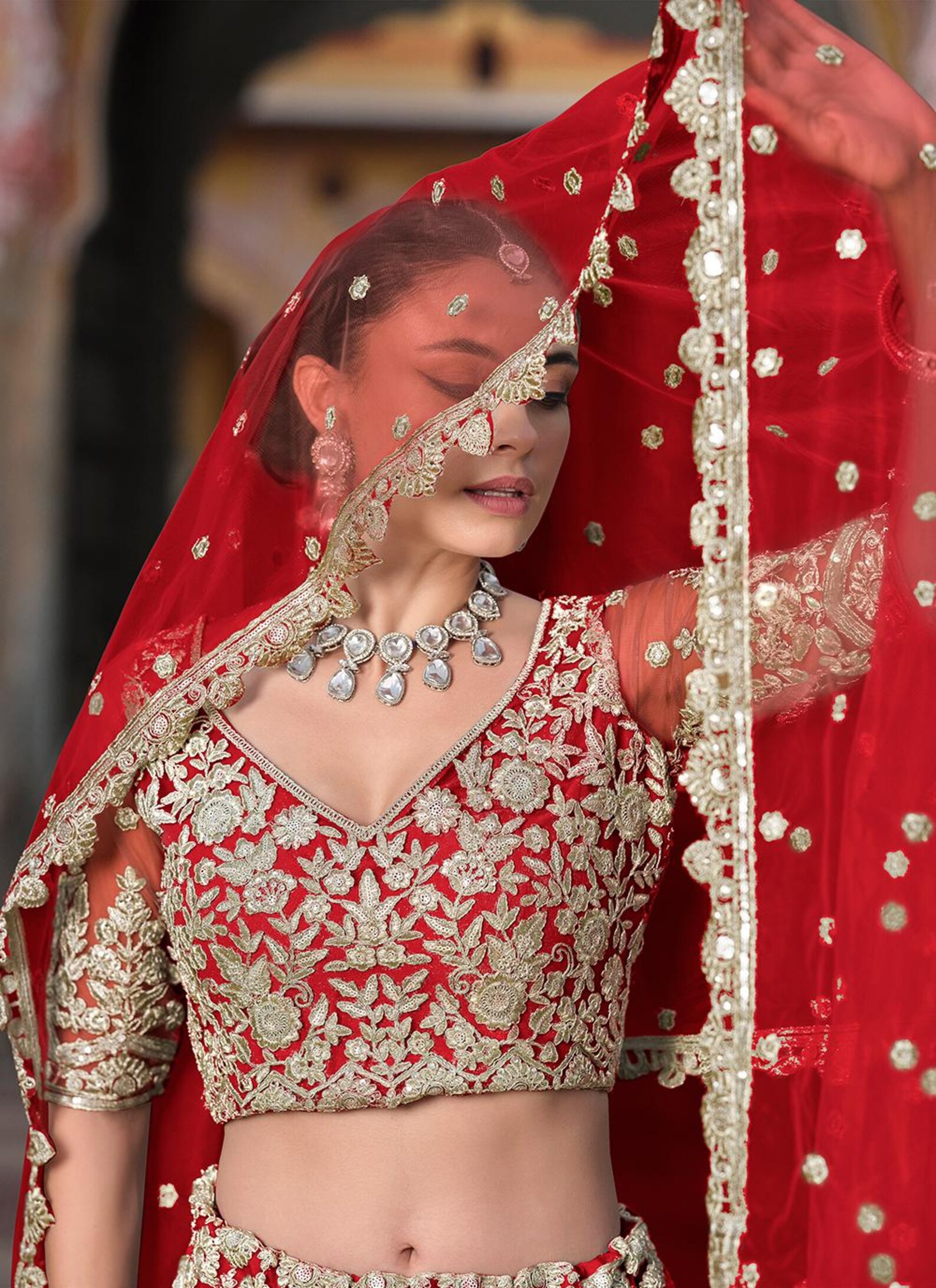Bridal Red Net Lehenga Choli, Indian Bridal Lehanga for Women ...
