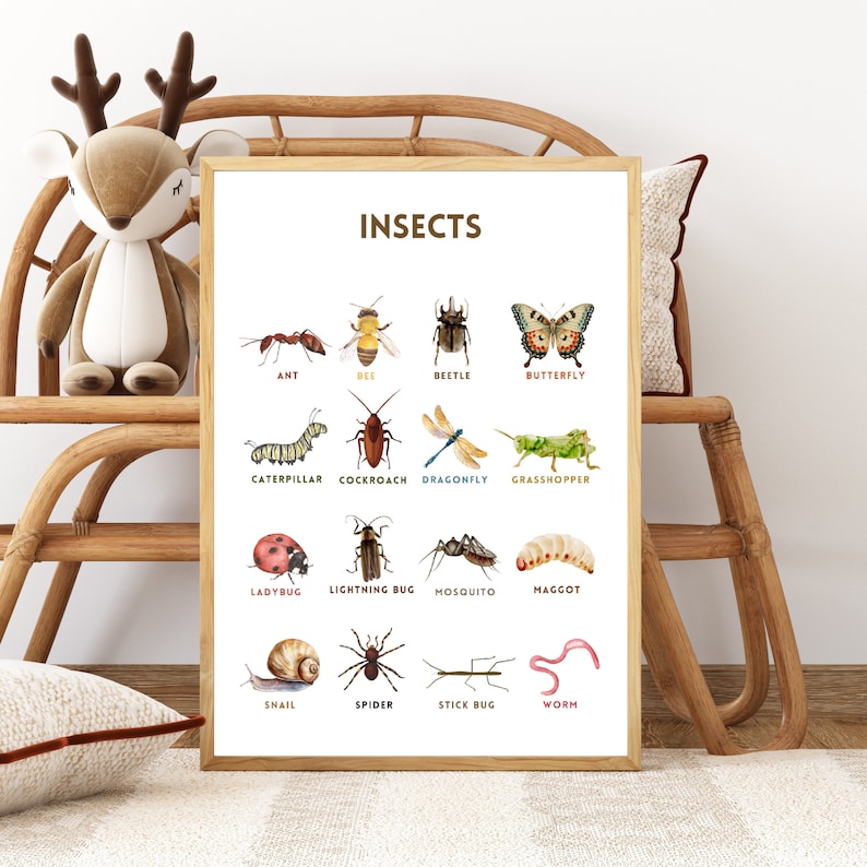 Montessori Bugs Educational Poster, Insects Print, Homeschool Nature ...
