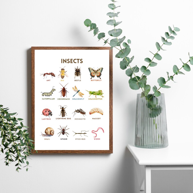 Montessori Bugs Educational Poster, Insects Print, Homeschool Nature ...