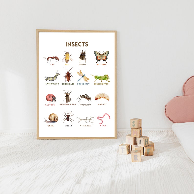 Montessori Bugs Print: Educational Insect Poster (digital Download) - Etsy