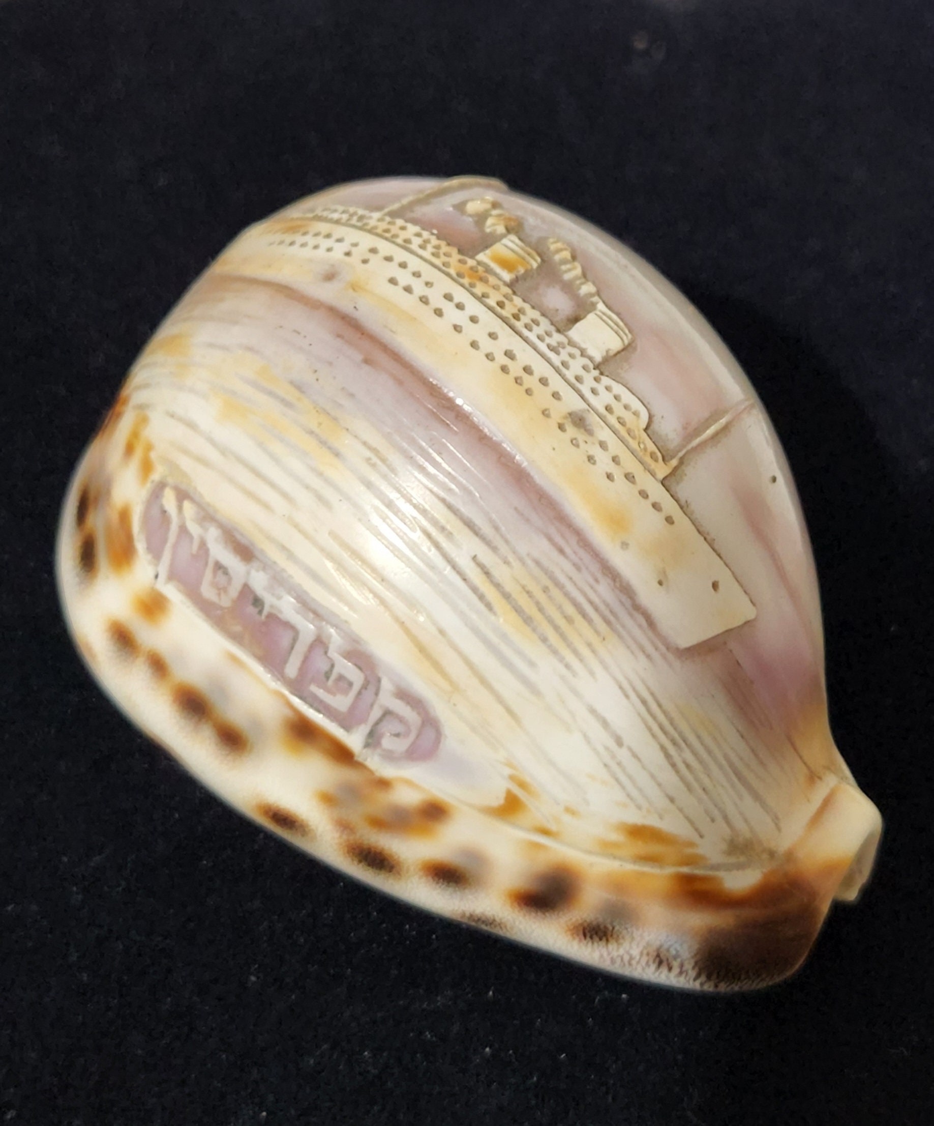 Cyprus - Spectacular Shell Work From the Detention Camps in Cyprus With ...