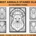 33 Stained Glass Coloring Pages of Forest Animals, Not Grayscale Adult ...
