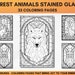 33 Stained Glass Coloring Pages of Forest Animals, Not Grayscale Adult ...
