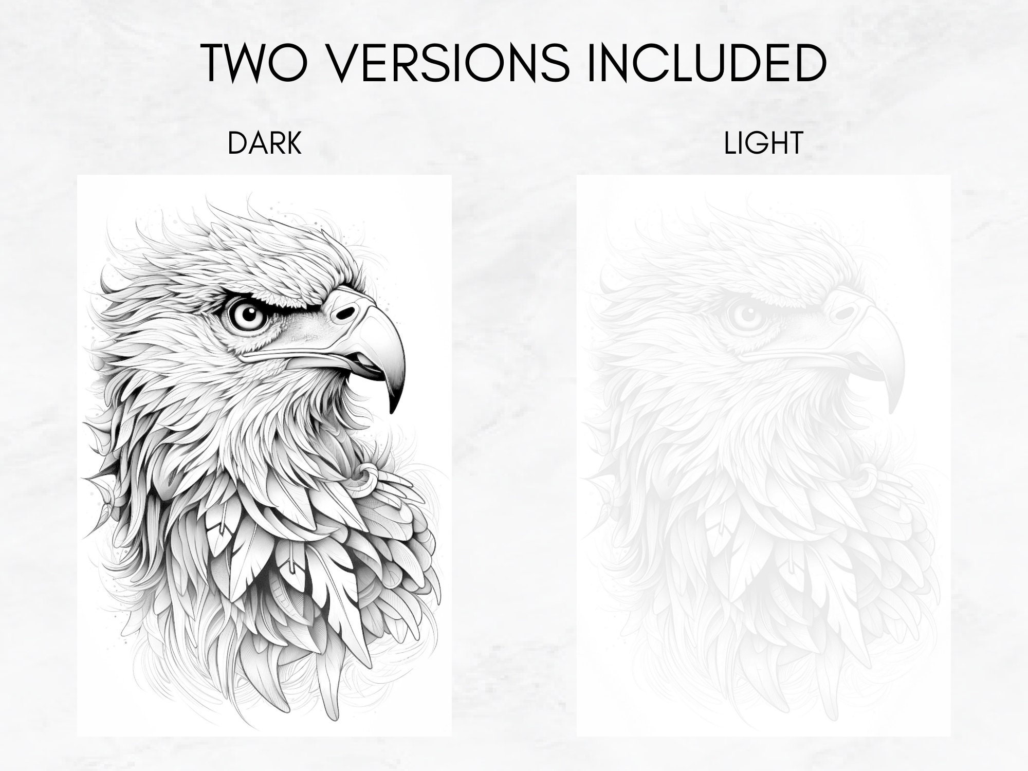 10 Coloring Pages Falcon Coloring Book for Adults, Whimsical Eagle ...