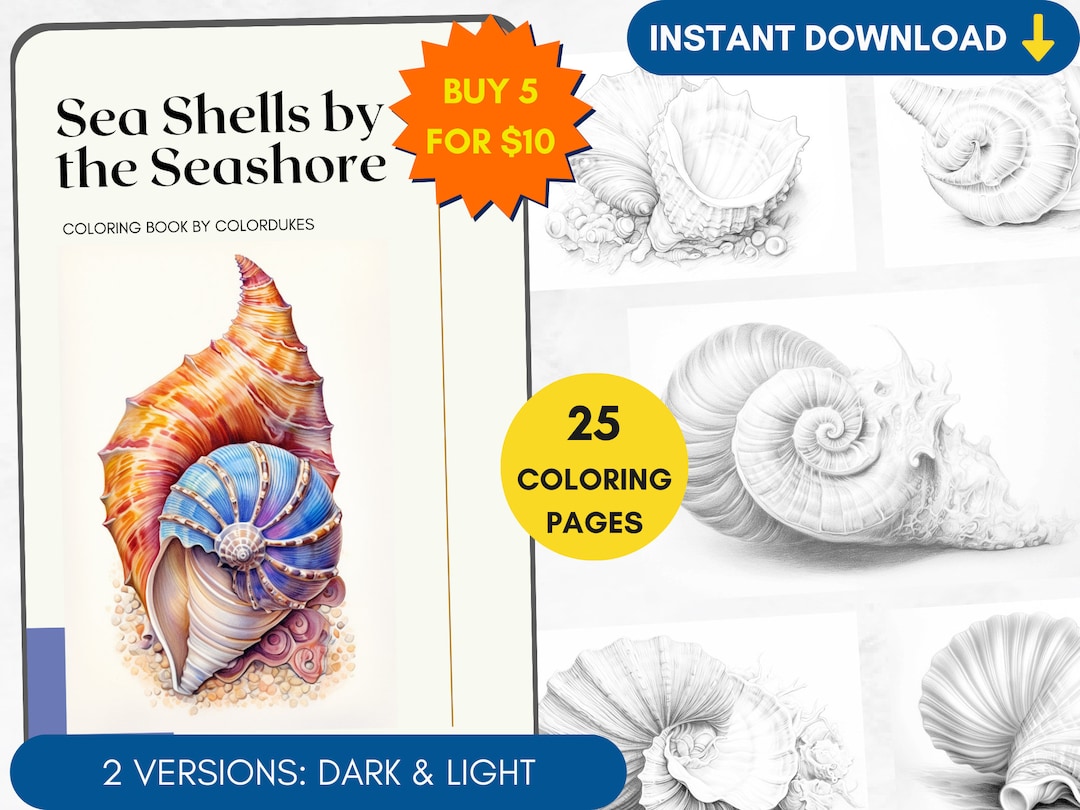 25 Coloring Pages, Sea Shells Coloring Book Summer Grayscale Coloring ...