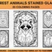 33 Stained Glass Coloring Pages of Forest Animals, Not Grayscale Adult ...