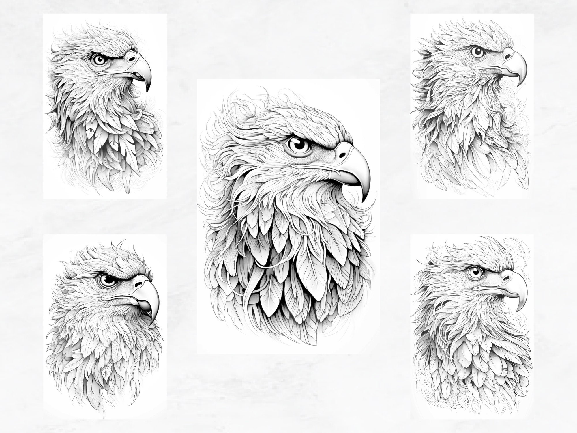 10 Coloring Pages Falcon Coloring Book for Adults, Whimsical Eagle ...