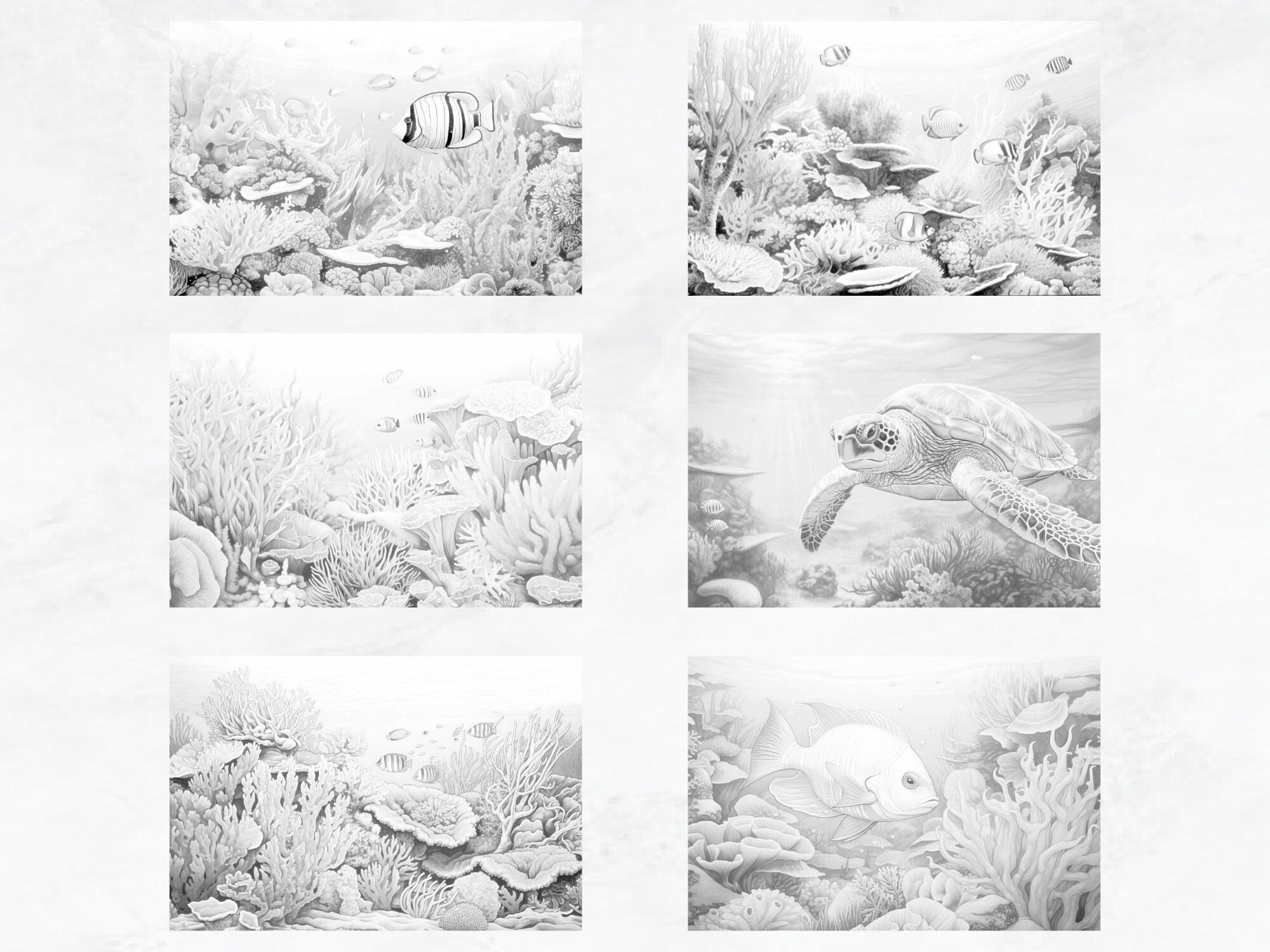 25 Coloring Pages, Coral Reef Coloring Book Summer Grayscale Coloring ...