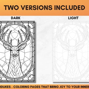 33 Stained Glass Coloring Pages of Forest Animals, Not Grayscale Adult ...